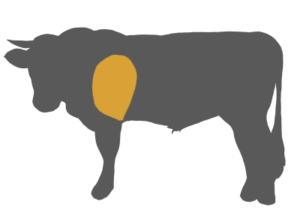 Fleischkunde Rind - TIMM Fleisch- und Wurstmanufaktur