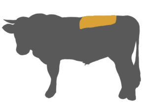 Fleischkunde Rind - TIMM Fleisch- und Wurstmanufaktur